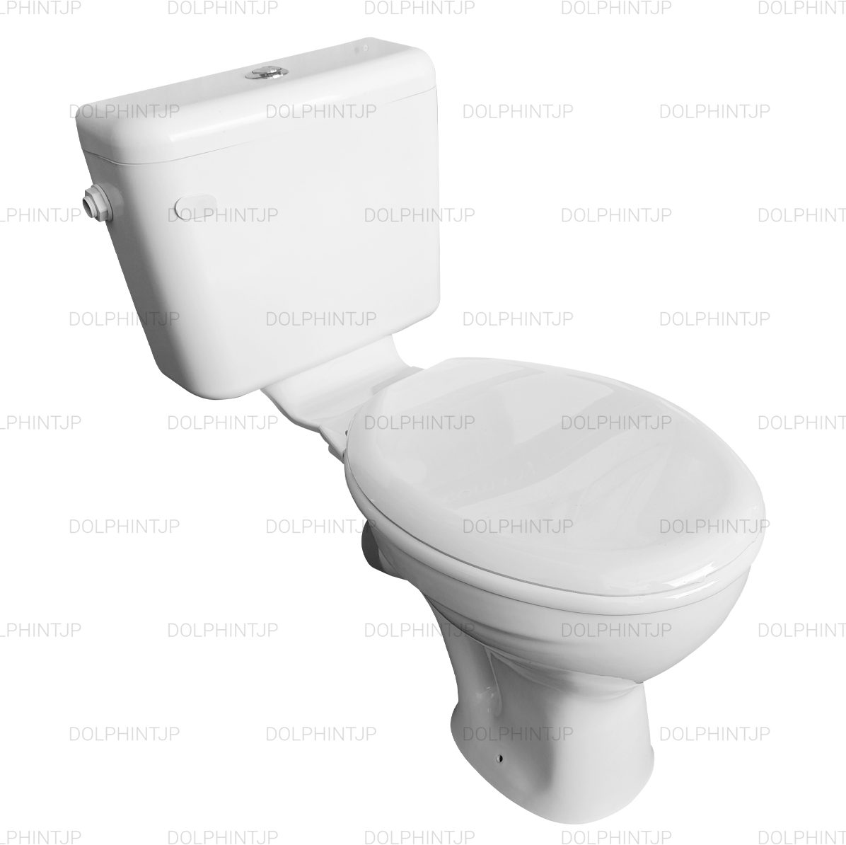 DOLPHIN WC 102 – PVC Cistern (P-Trap) – Dolphin Sanitary Ware